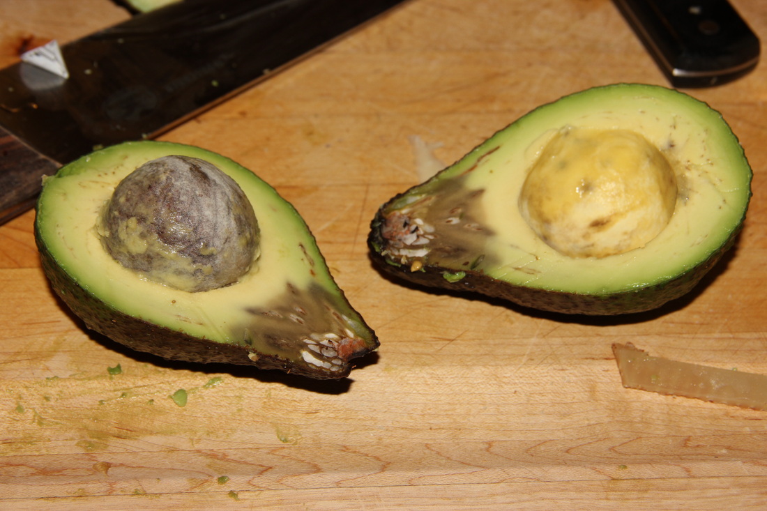 Stem End Rot In Avocado Barmac Pty Ltd