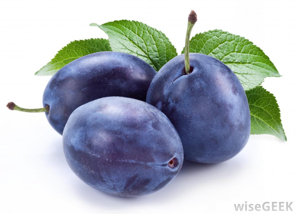 Prune Barmac Pty Ltd Prune Barmac Pty Ltd