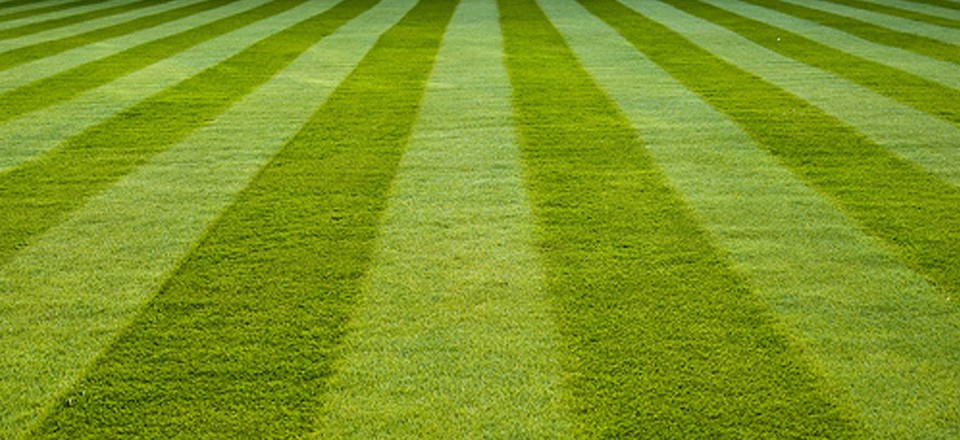 Turf - Barmac Pty Ltd